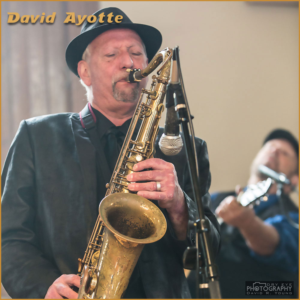 The Beautiful Losers. A tribute to Bob Seger and the Silver Bullet Band.